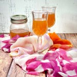 Blood Orangecello - InstaGrandma's Kitchen